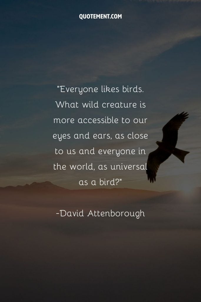 130 Inspiring Bird Quotes To Embrace The Wings Of Wisdom