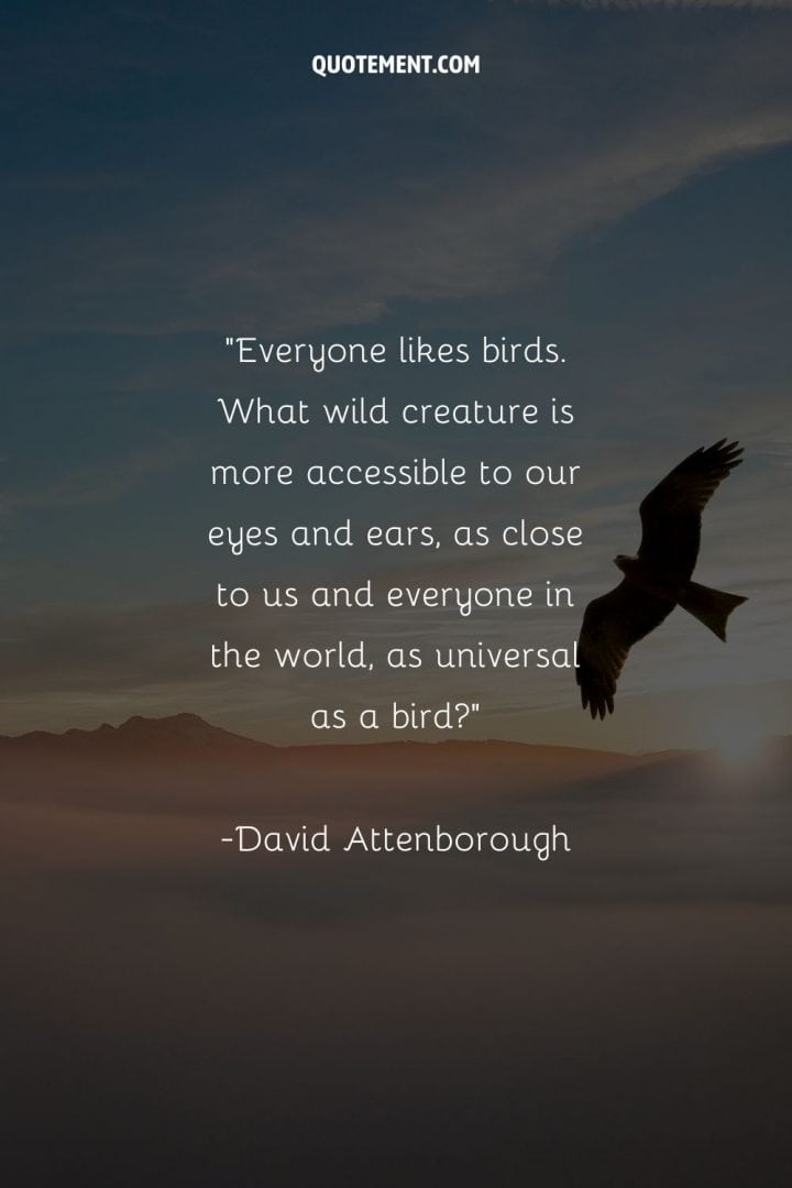 130 Inspiring Bird Quotes To Embrace The Wings Of Wisdom