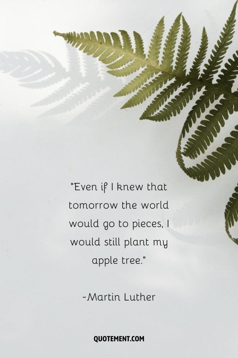 130 Inspiring Plant Quotes Celebrating The Beauty Of Flora
