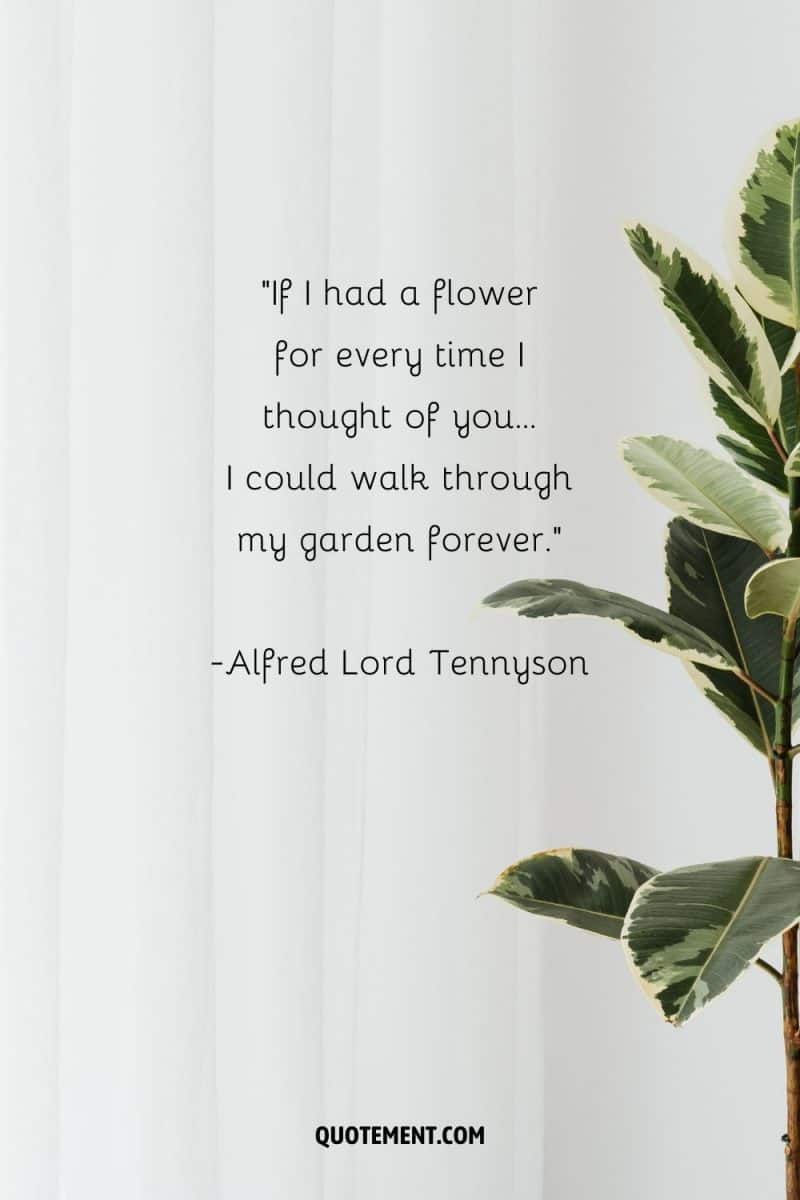 130 Inspiring Plant Quotes Celebrating The Beauty Of Flora