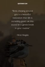 130 Inspiring Bird Quotes To Embrace The Wings Of Wisdom