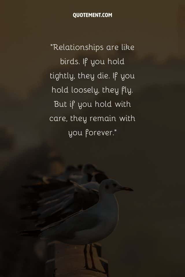 130 Inspiring Bird Quotes To Embrace The Wings Of Wisdom