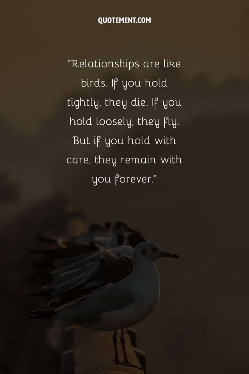 130 Inspiring Bird Quotes To Embrace The Wings Of Wisdom