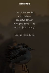 130 Inspiring Bird Quotes To Embrace The Wings Of Wisdom