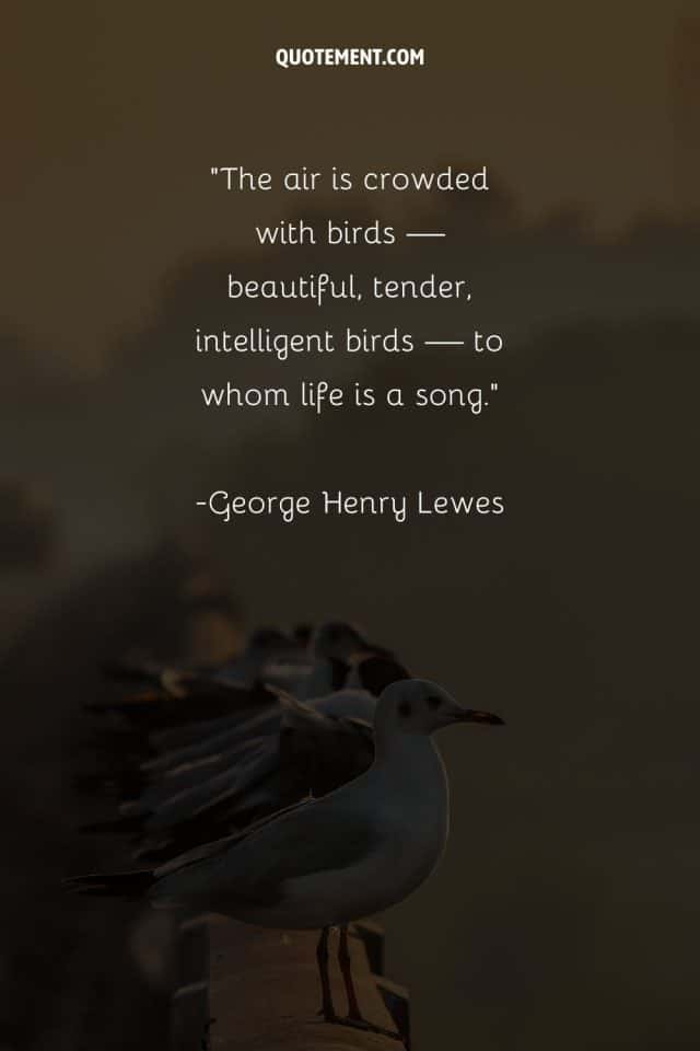 130 Inspiring Bird Quotes To Embrace The Wings Of Wisdom
