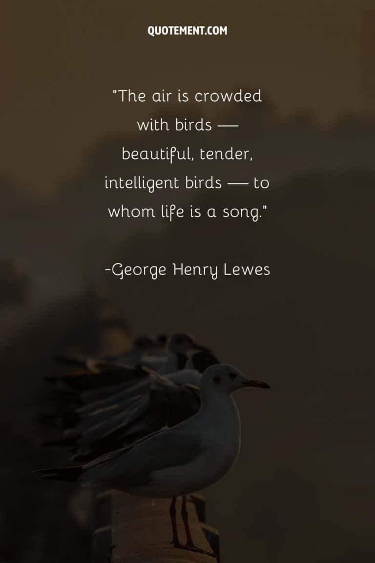 130 Inspiring Bird Quotes To Embrace The Wings Of Wisdom