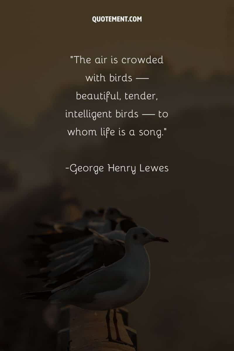 130 Inspiring Bird Quotes To Embrace The Wings Of Wisdom