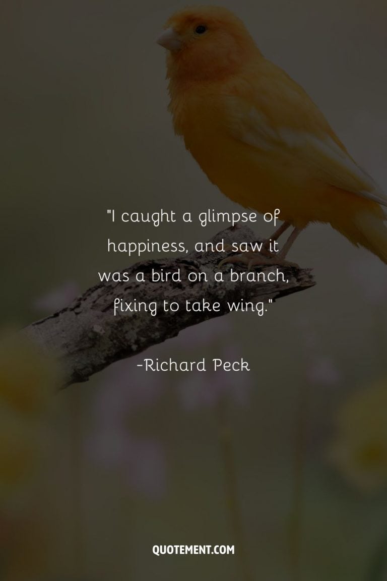 130 Inspiring Bird Quotes To Embrace The Wings Of Wisdom