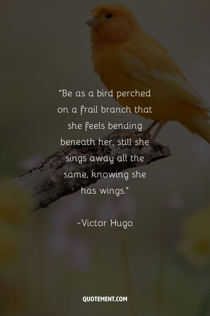 130 Inspiring Bird Quotes To Embrace The Wings Of Wisdom