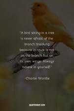 130 Inspiring Bird Quotes To Embrace The Wings Of Wisdom