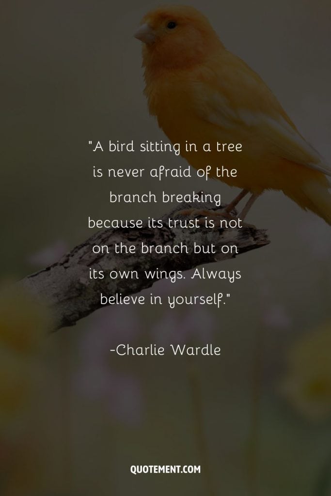 130 Inspiring Bird Quotes To Embrace The Wings Of Wisdom