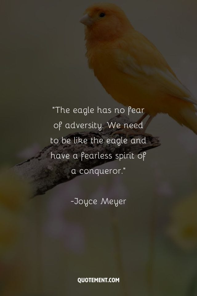 130 Inspiring Bird Quotes To Embrace The Wings Of Wisdom