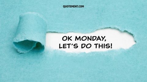 150 Funny Monday Quotes To Stop Feeling The Monday Blues