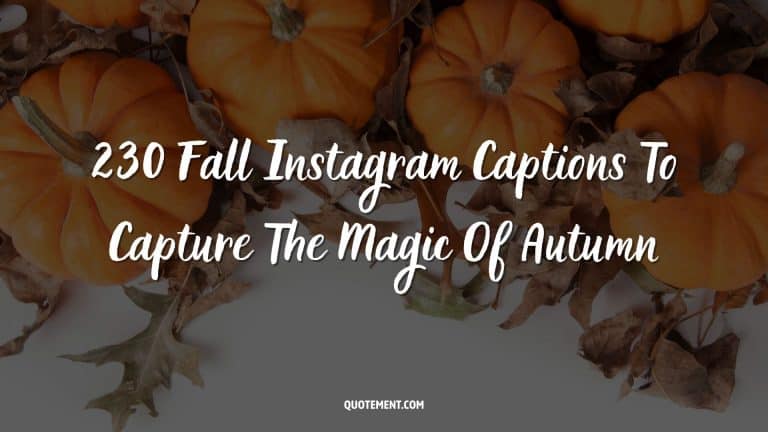 230 Fall Instagram Captions To Capture The Magic Of Autumn