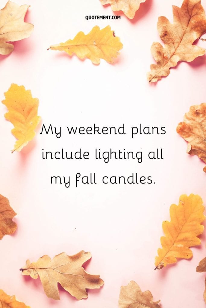 230 Fall Instagram Captions To Capture The Magic Of Autumn