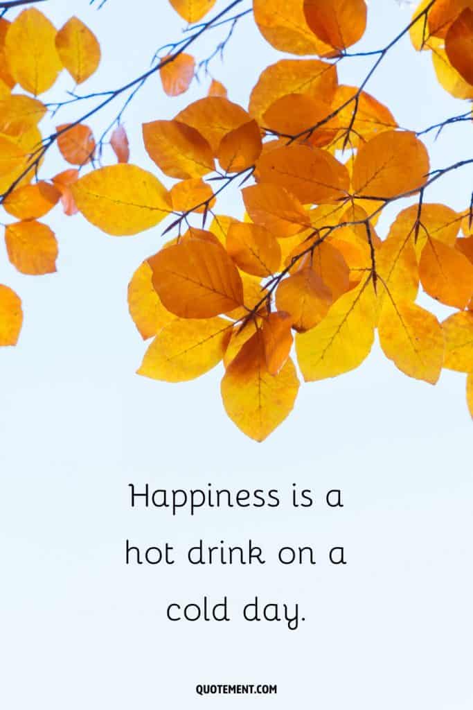 230 Fall Instagram Captions To Capture The Magic Of Autumn