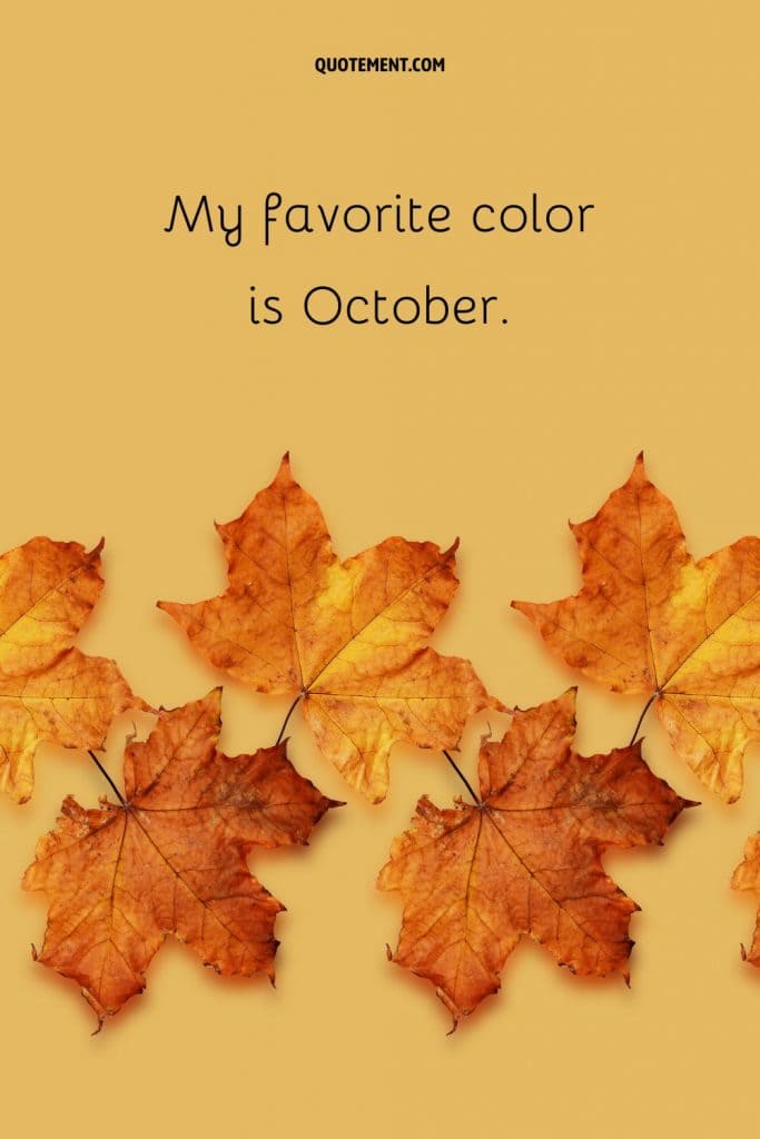 230 Fall Instagram Captions To Capture The Magic Of Autumn