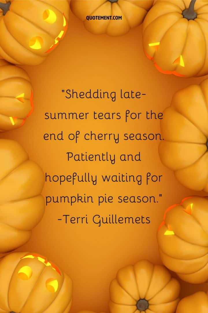 70 Cute Pumpkin Patch Quotes To Spice Up Your Day