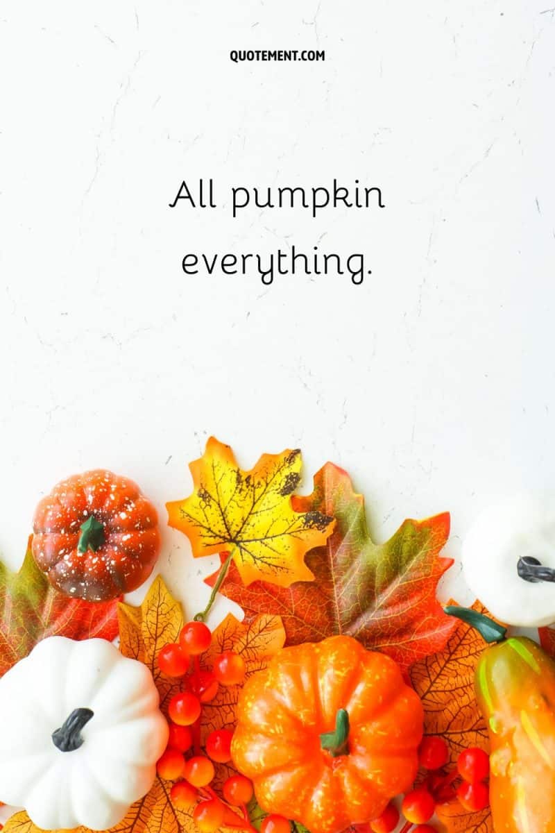 230 Fall Instagram Captions To Capture The Magic Of Autumn