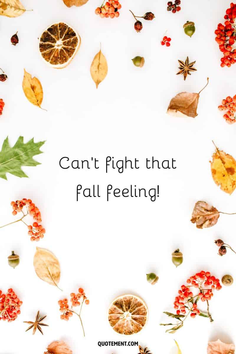 230 Fall Instagram Captions To Capture The Magic Of Autumn