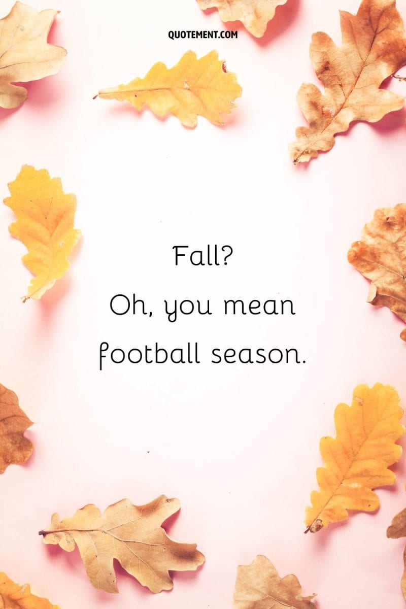 230 Fall Instagram Captions To Capture The Magic Of Autumn