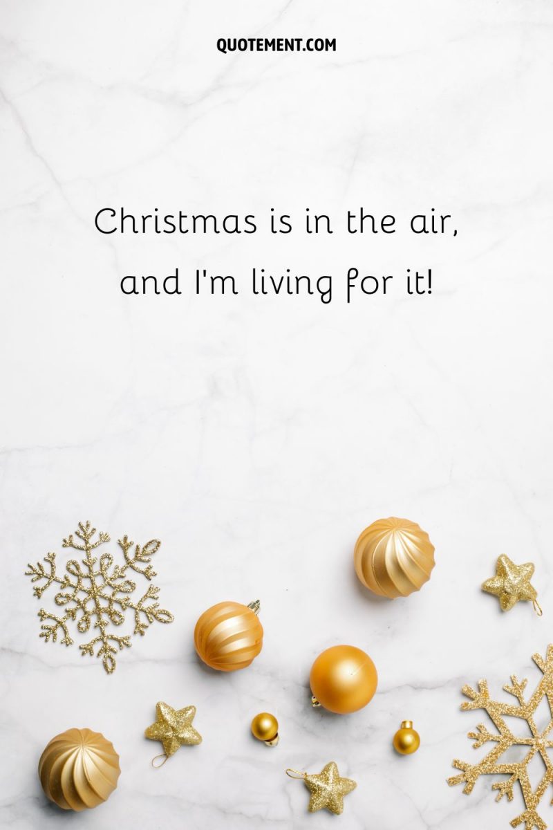 160 Holly Jolly Christmas Captions Light Up Your Feeds