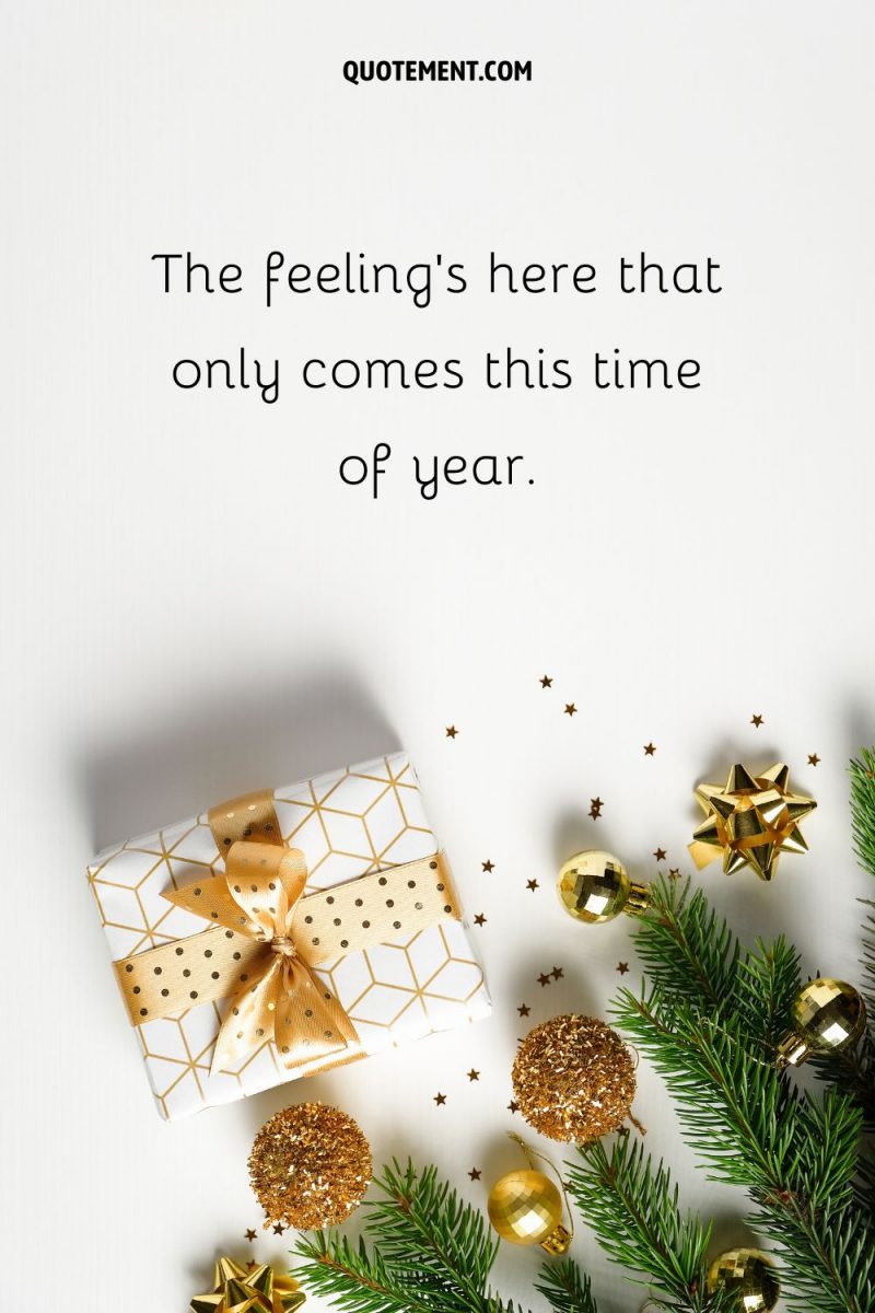 160 Holly Jolly Christmas Captions Light Up Your Feeds