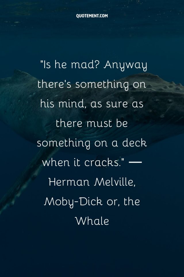 Explore 120 Moby Dick Quotes To Find The Hidden Wisdom