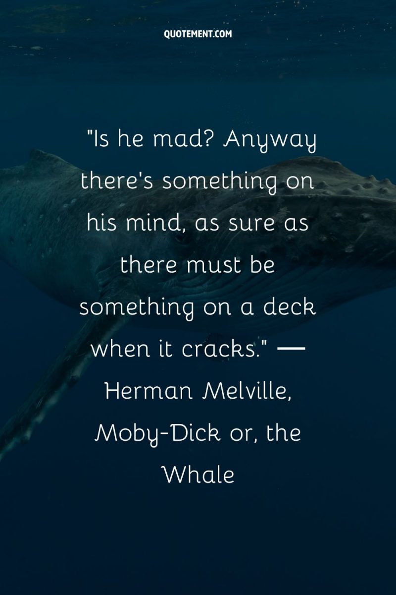 Explore 120 Moby Dick Quotes To Find The Hidden Wisdom