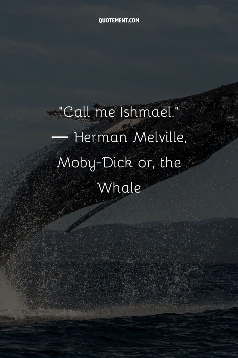 Explore 120 Moby Dick Quotes To Find The Hidden Wisdom