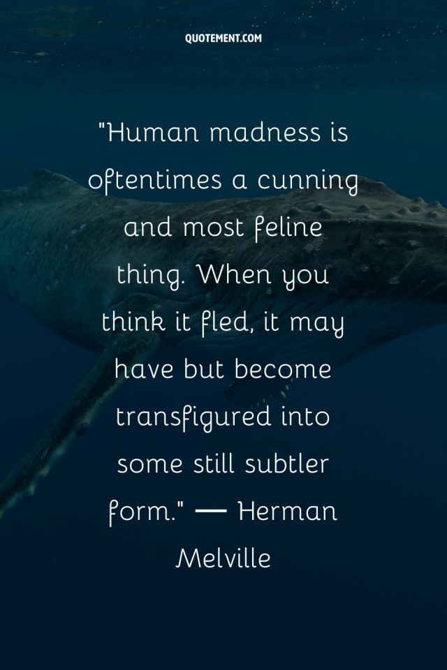 Explore 120 Moby Dick Quotes To Find The Hidden Wisdom