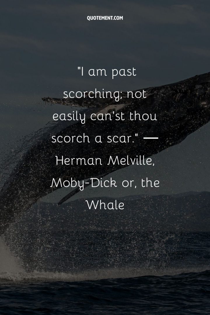 Explore 120 Moby Dick Quotes To Find The Hidden Wisdom