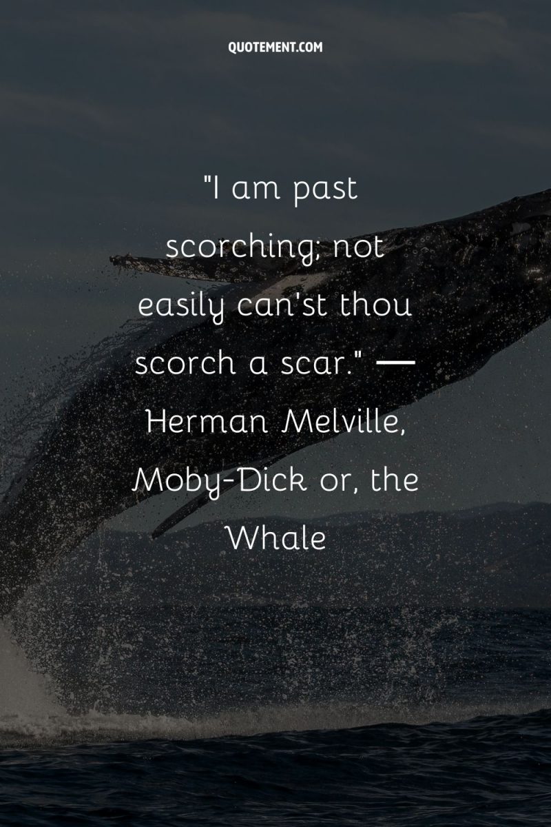Explore 120 Moby Dick Quotes To Find The Hidden Wisdom