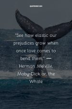 Explore 120 Moby Dick Quotes To Find The Hidden Wisdom