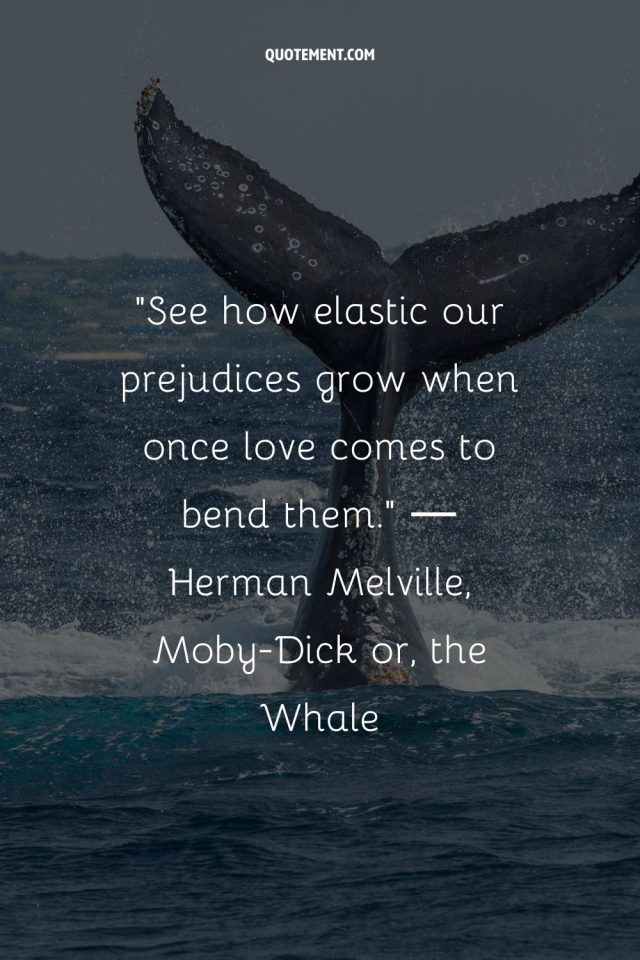 Explore 120 Moby Dick Quotes To Find The Hidden Wisdom