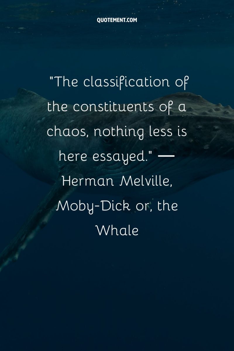 Explore 120 Moby Dick Quotes To Find The Hidden Wisdom