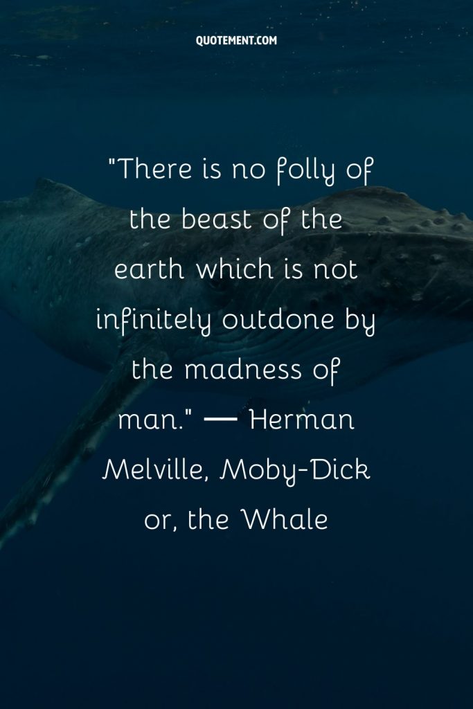 Explore 120 Moby Dick Quotes To Find The Hidden Wisdom