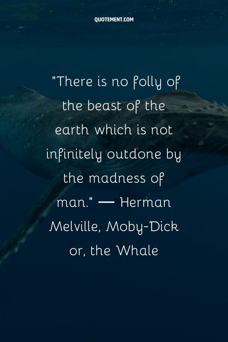Explore 120 Moby Dick Quotes To Find The Hidden Wisdom