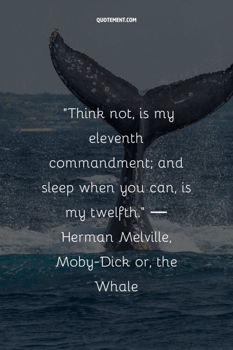 Explore 120 Moby Dick Quotes To Find The Hidden Wisdom