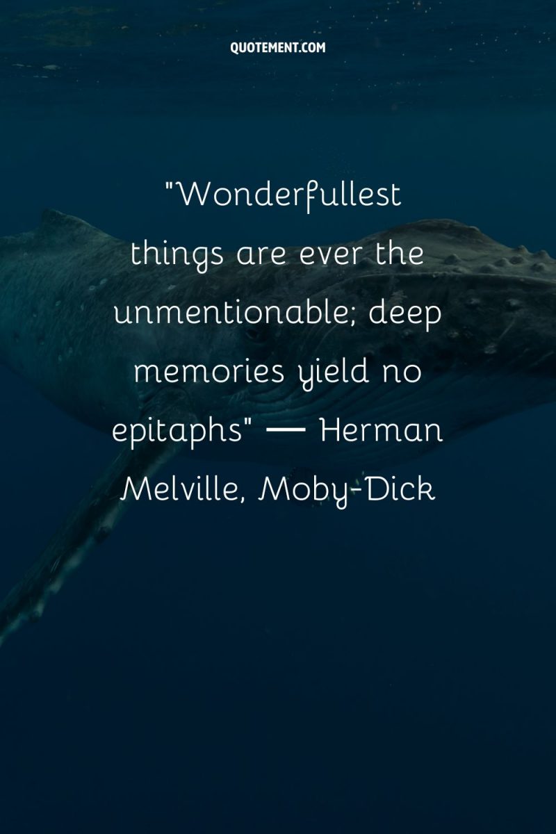 Explore 120 Moby Dick Quotes To Find The Hidden Wisdom