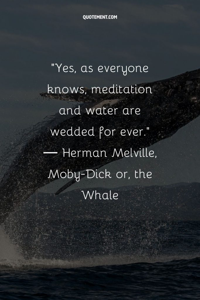 Explore 120 Moby Dick Quotes To Find The Hidden Wisdom