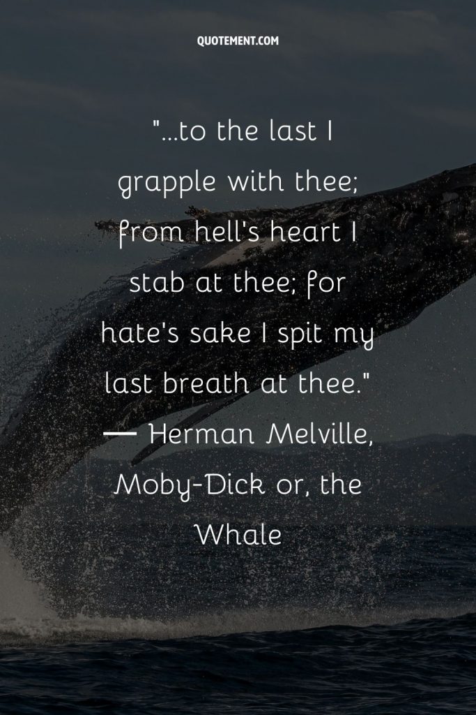 Explore 120 Moby Dick Quotes To Find The Hidden Wisdom