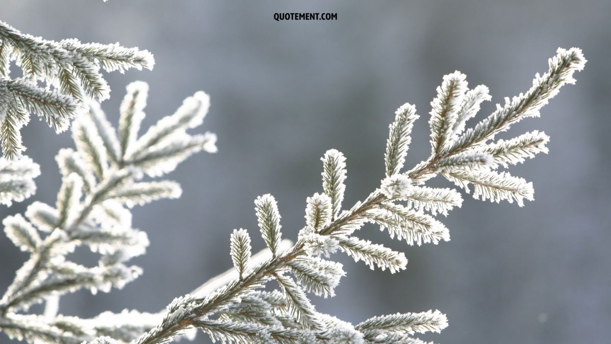 110 Inspiring Winter Solstice Quotes To Warm Your Heart