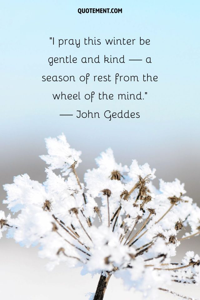 110 Inspiring Winter Solstice Quotes To Warm Your Heart